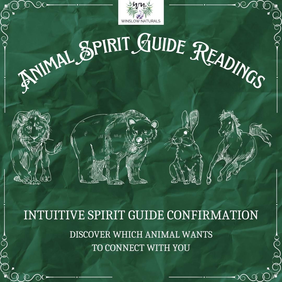 Animal Spirit Guide Confirmation Reading, Spirit Guide Readings ...