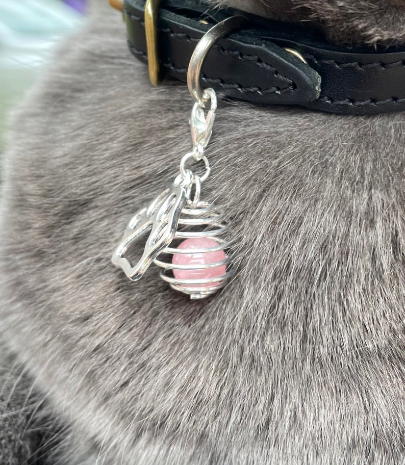 Natural Crystal Pet Collar Charms, Protection and Healing Stone Collar ...