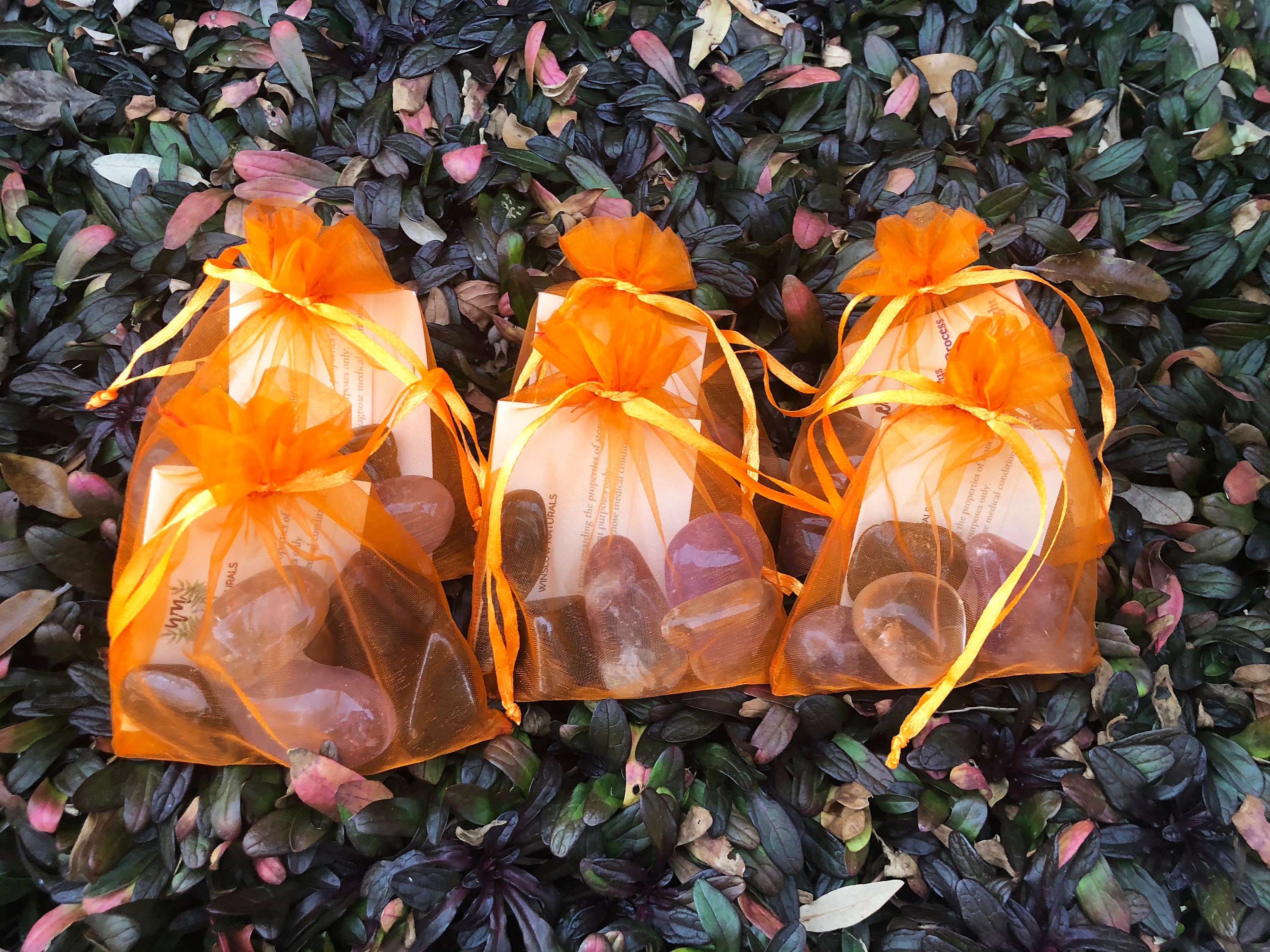 Focus and Intention Crystal Set Focus and Intention Stone | Etsy