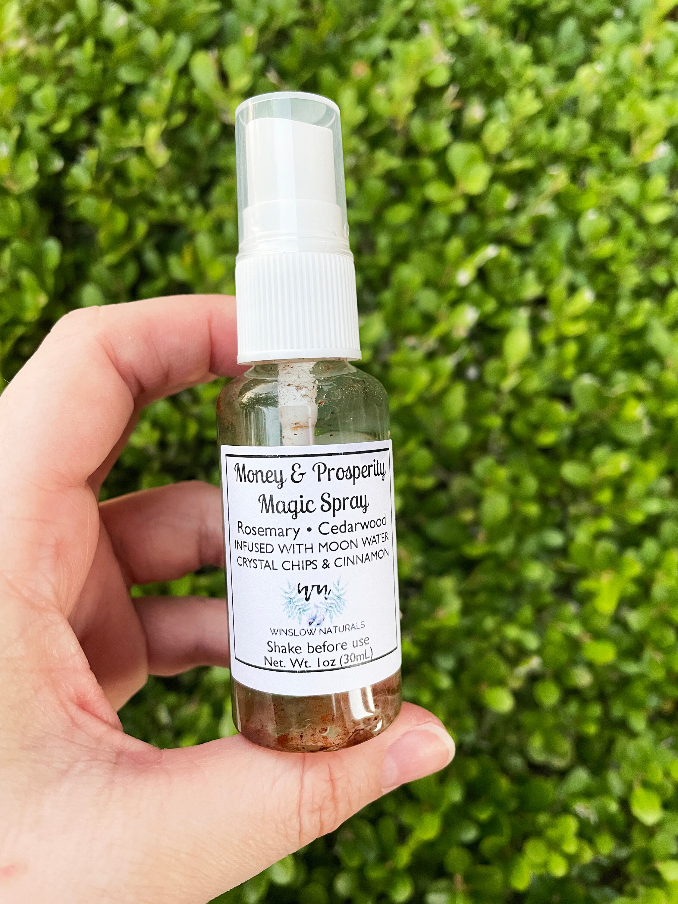 Money & Prosperity Magic Spray, Money Magic Crystal Infused Spray, 1oz ...