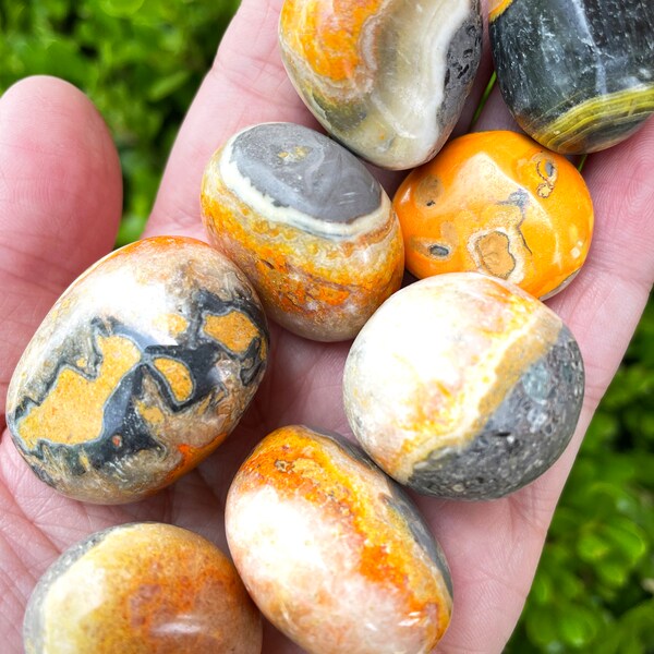 Bumblebee Jasper - Etsy