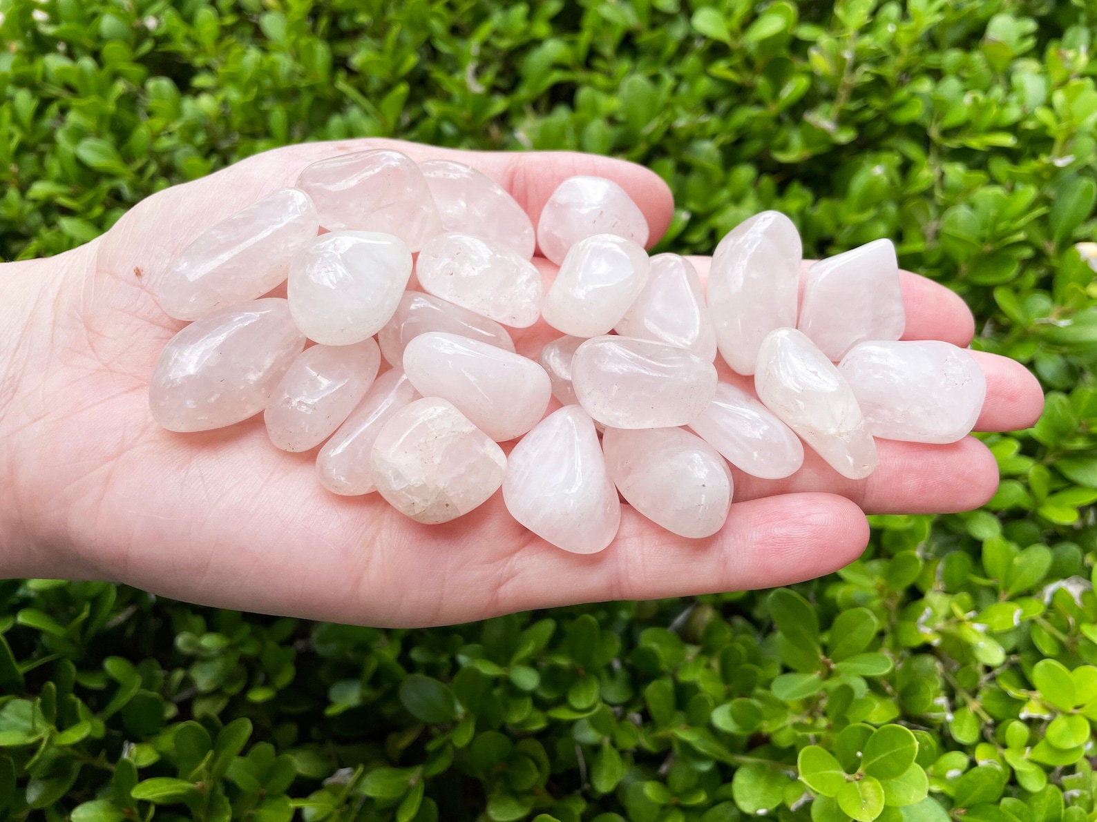 Rose Quartz Grade A Tumbled Stones, 18-25mm Small Natural Rose Quartz ...
