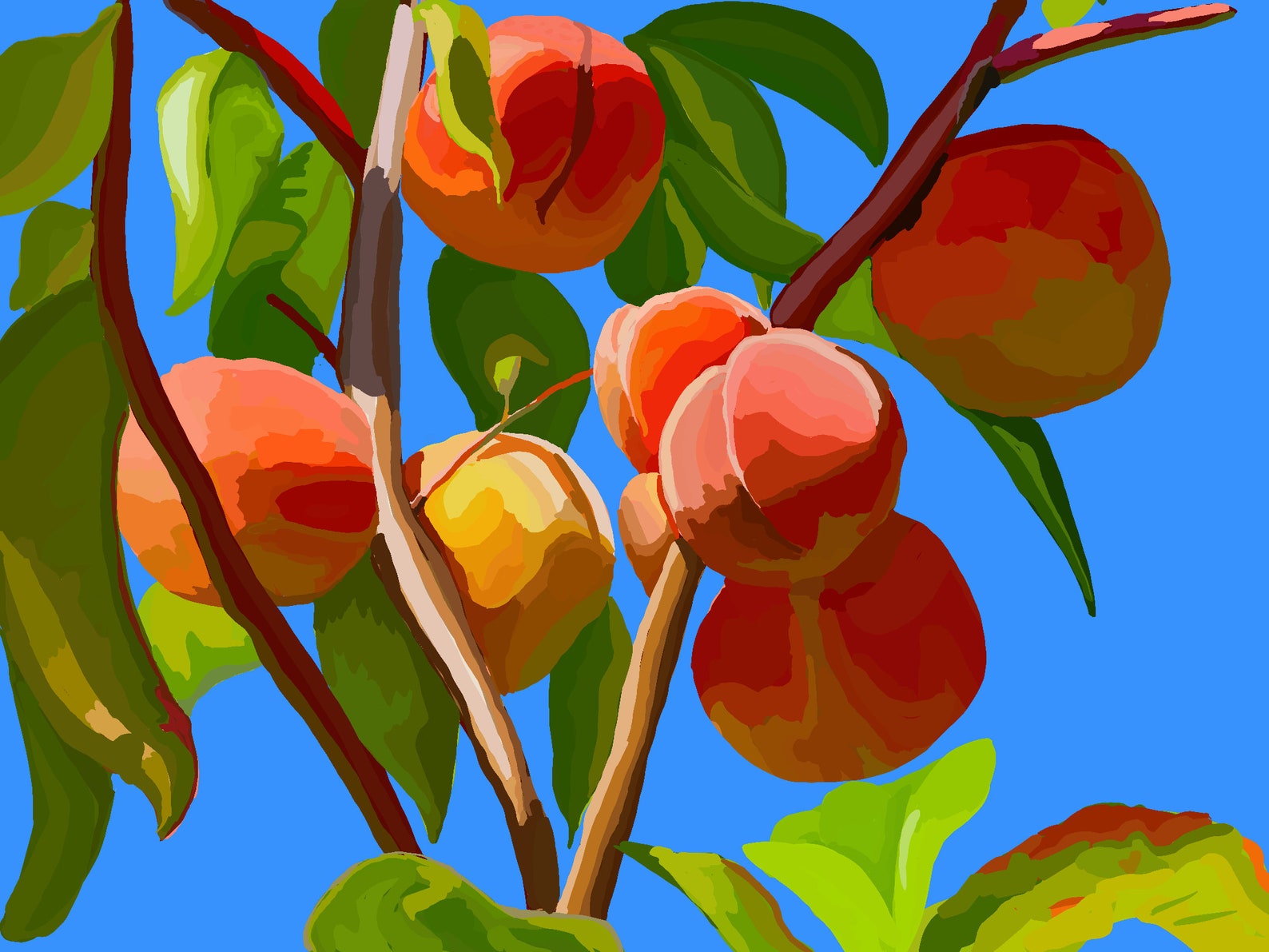 Peach Art Print - Etsy