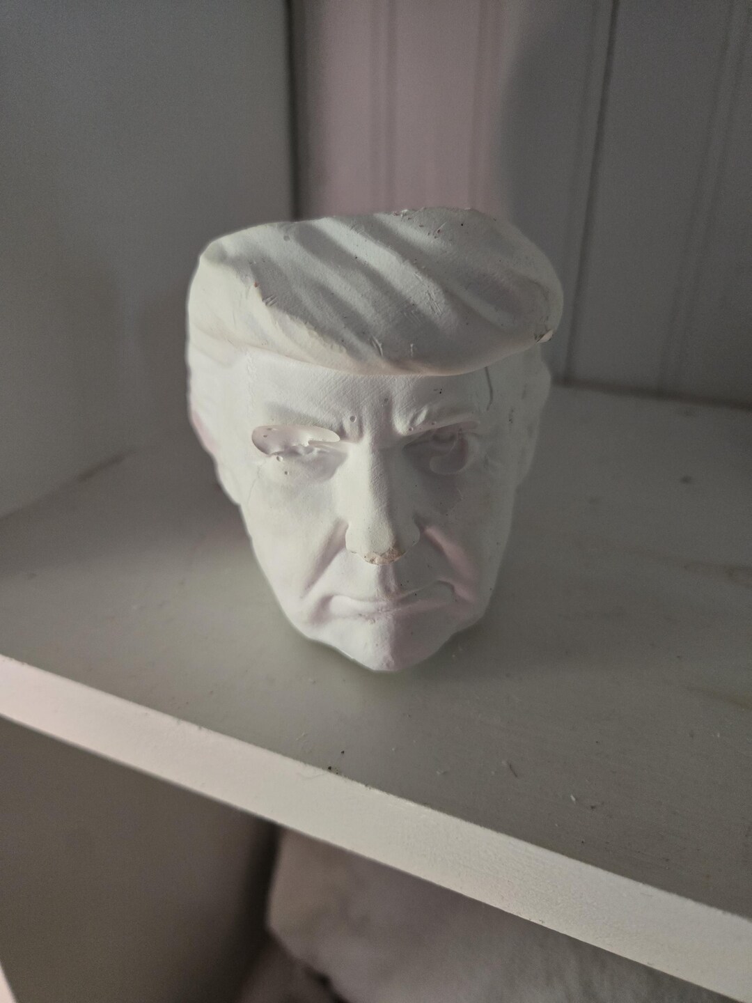 Donald Trump Plaster Heads for DIY Painting Indoor Plant Holder, Plant ...