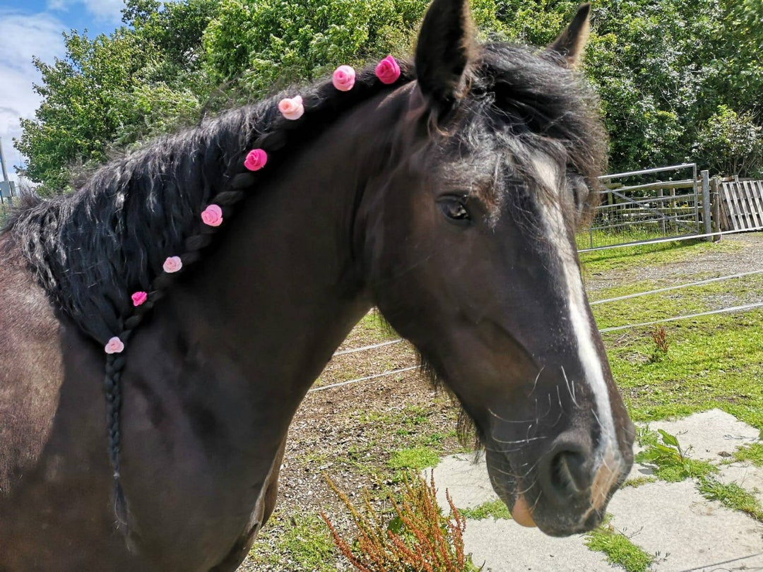 Rose Mane and Tail Charm Set, Equine Flower Charm Set, Sunflower Mane ...