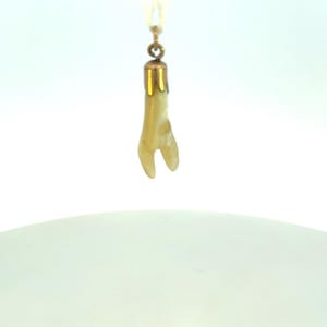 Vintage Gold and Bone Italian Good Luck Charm Pendant - Etsy