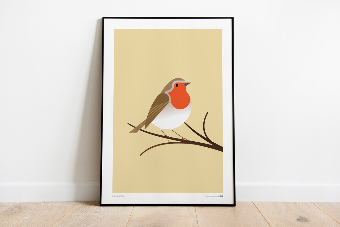 Robin Illustration Graphic Print Poster - Etsy