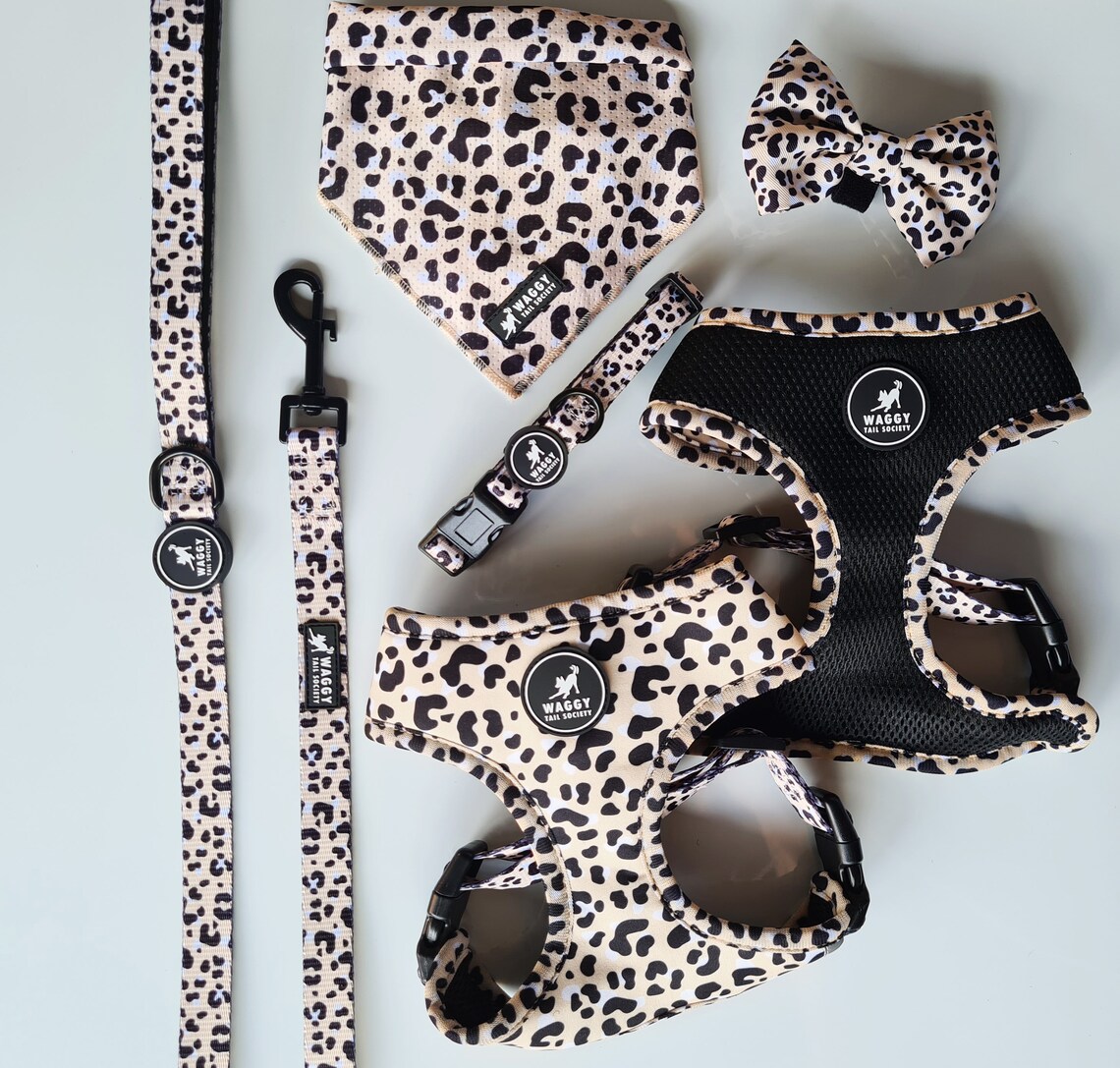 Wild Thing Dog Harness & Accessories - Etsy Australia
