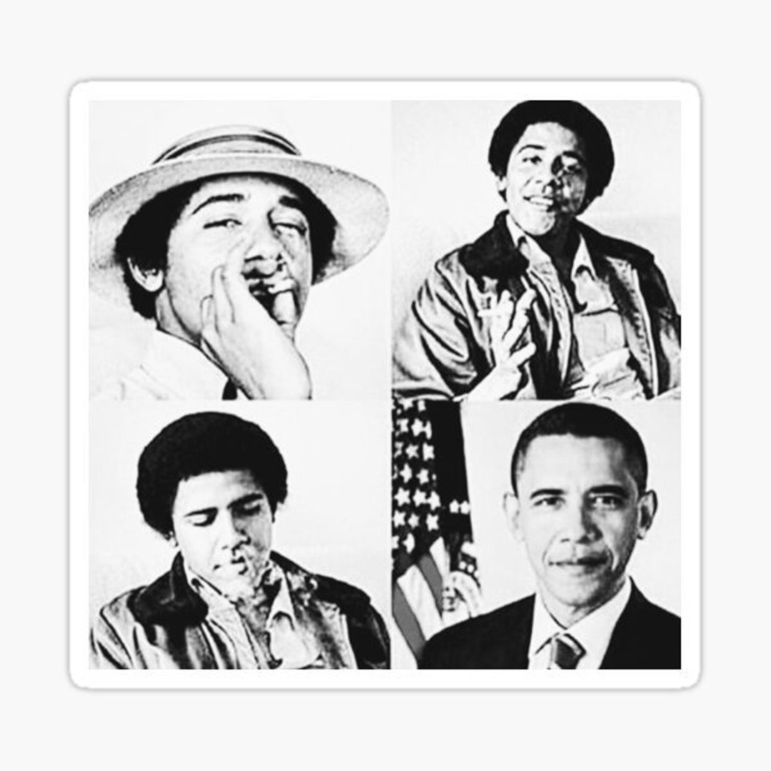 obama-pot-sticker-etsy