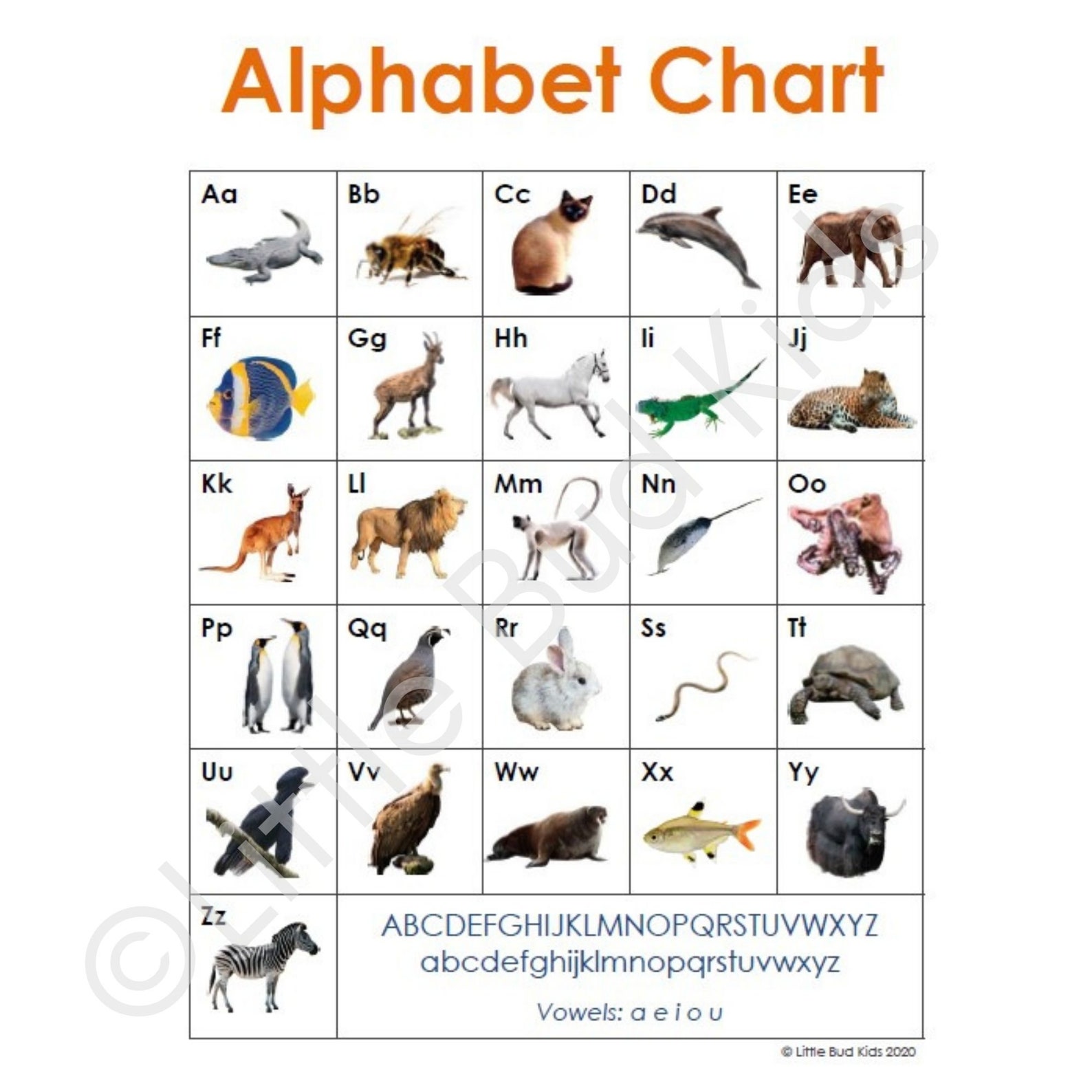 25-page CVC Words Activity Worksheet Set - A Phonics Bundle for ...