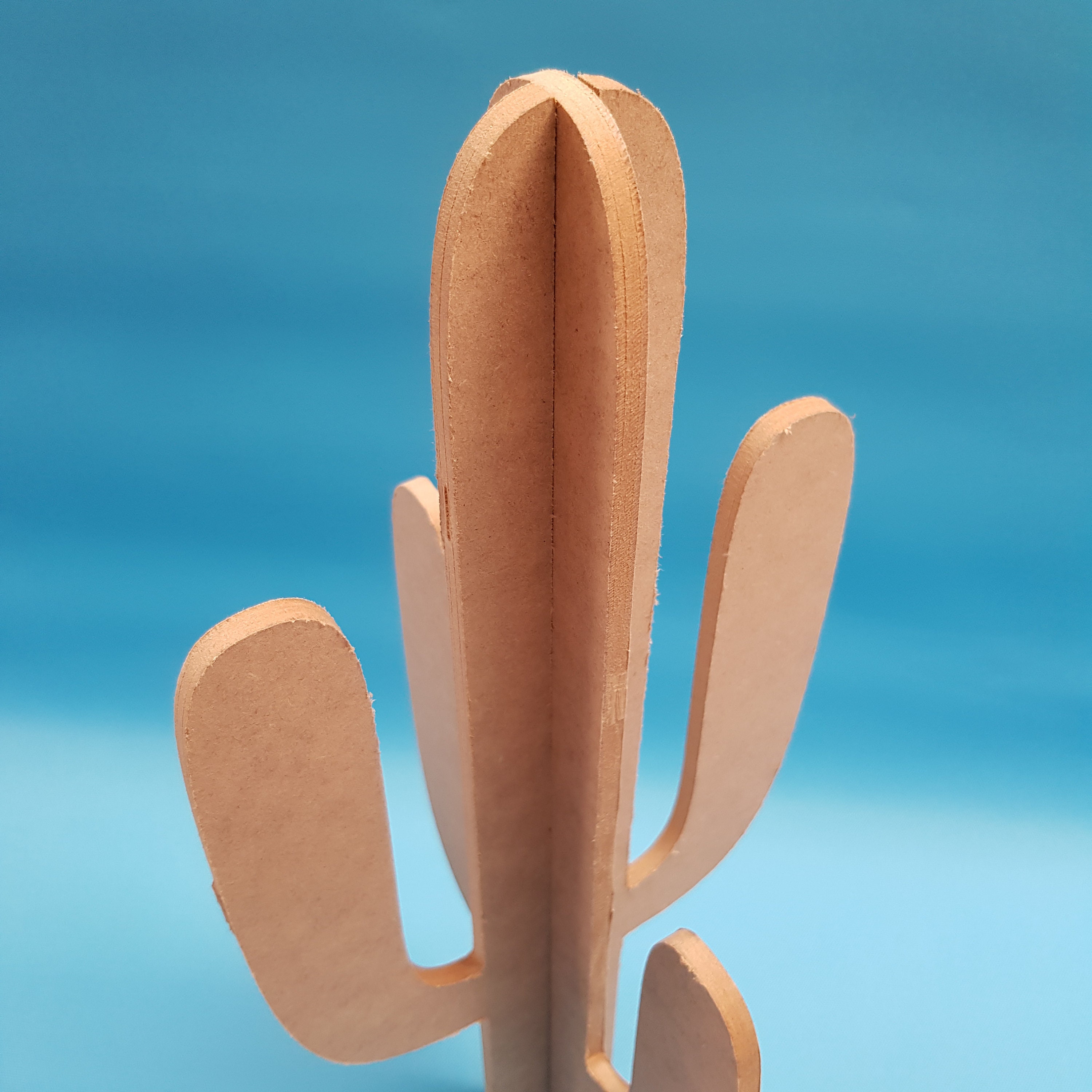 3D Wooden Cactus freestanding shape / Paint Your Own MDF or | Etsy