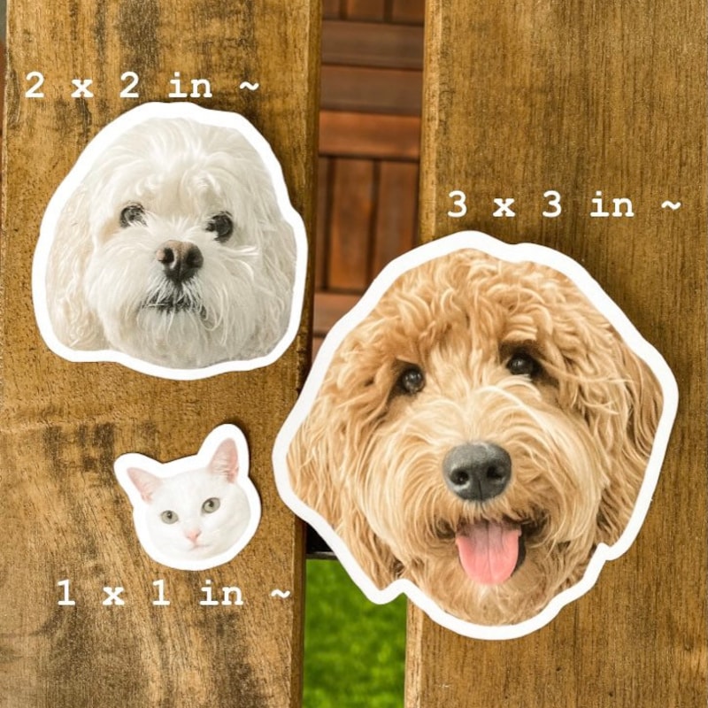 Custom Pet Stickers - Etsy