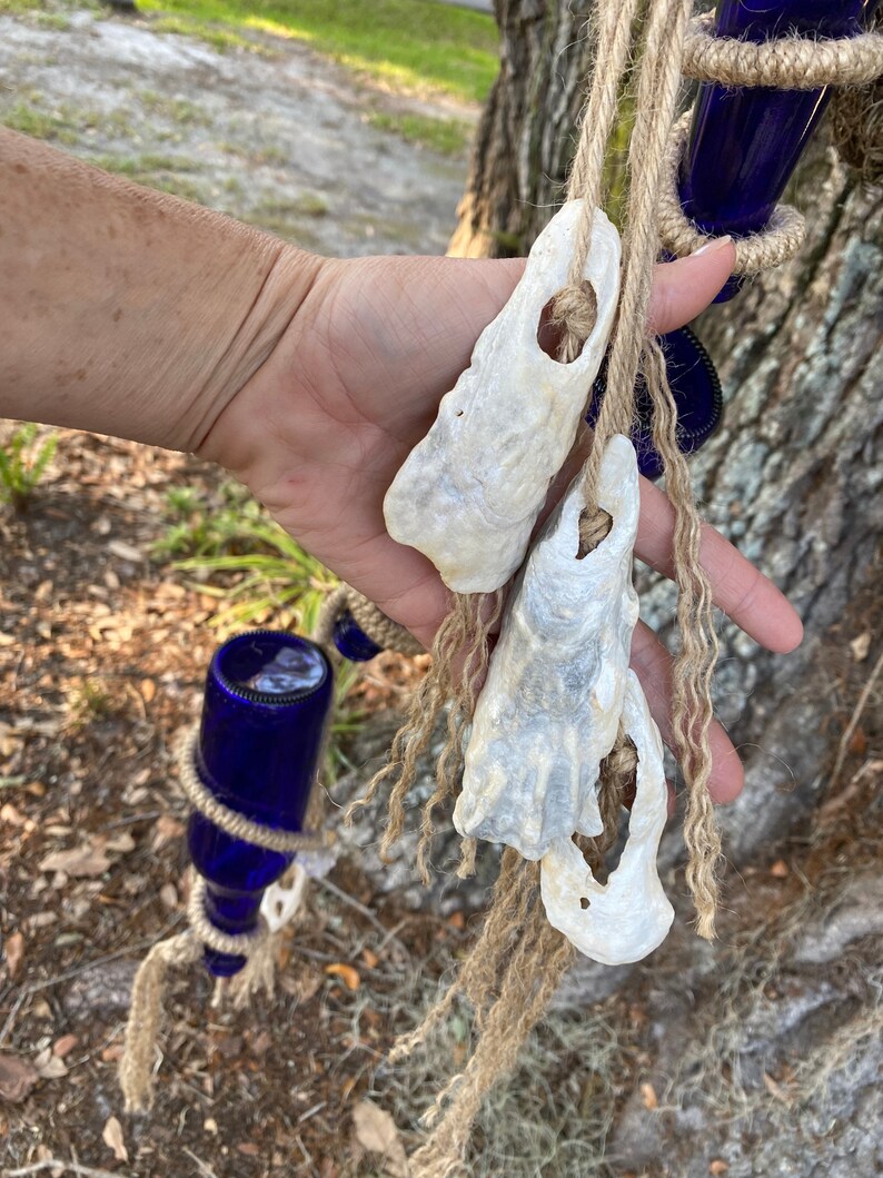 Gullah Haint Bottle Tree Hanger With 100 Year Oyster Accents - Etsy