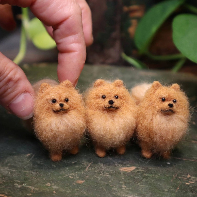 Pomeranian Plush - Etsy