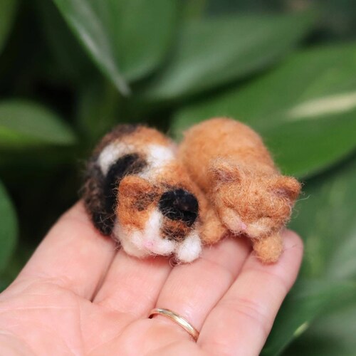 Needle Felted SHIH TZU Dollhouse Miniatures Animals Miniature - Etsy