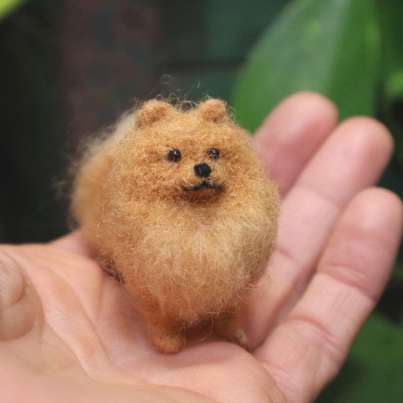 Pomeranian Plush - Etsy