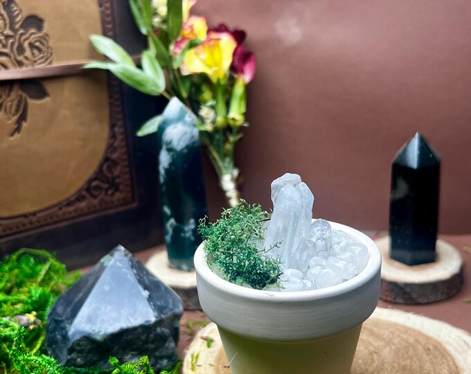 Crystal Plants/ Gemstone Decor/ Gifts for Them - Etsy