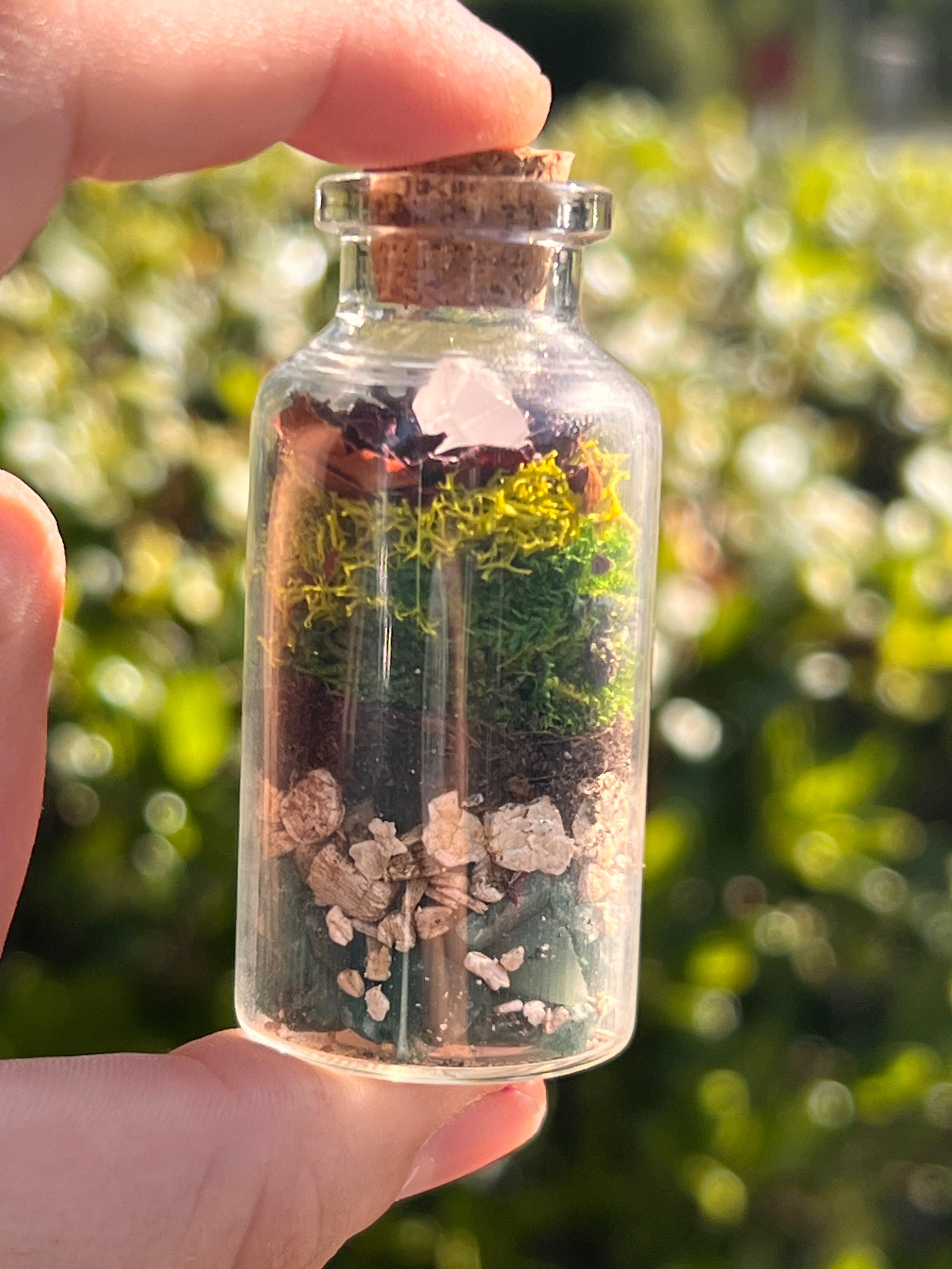 Mini Moss Terrarium/ Bottled Terrarium/ Gifts for Them - Etsy