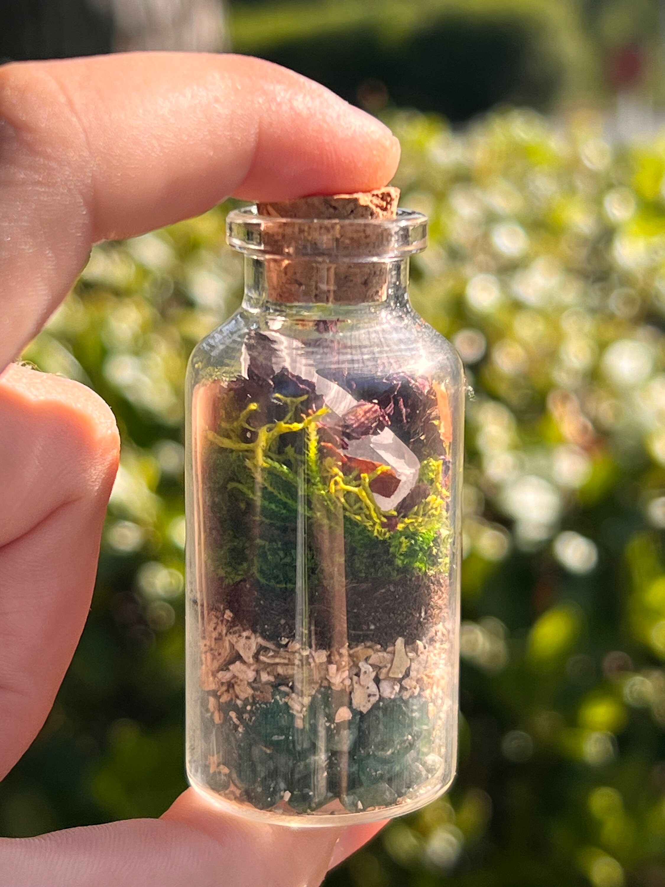 Mini Moss Terrarium/ Bottled Terrarium/ Gifts for Them - Etsy