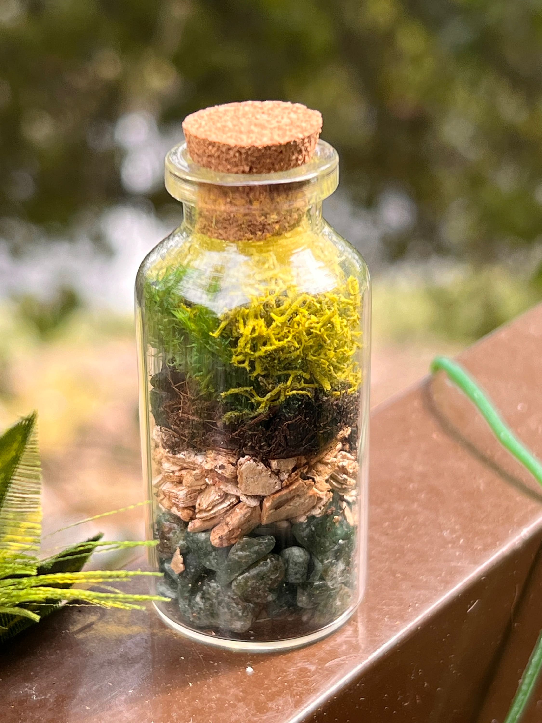 Mini Moss Terrarium/ Bottled Terrarium/ Gifts for Them - Etsy