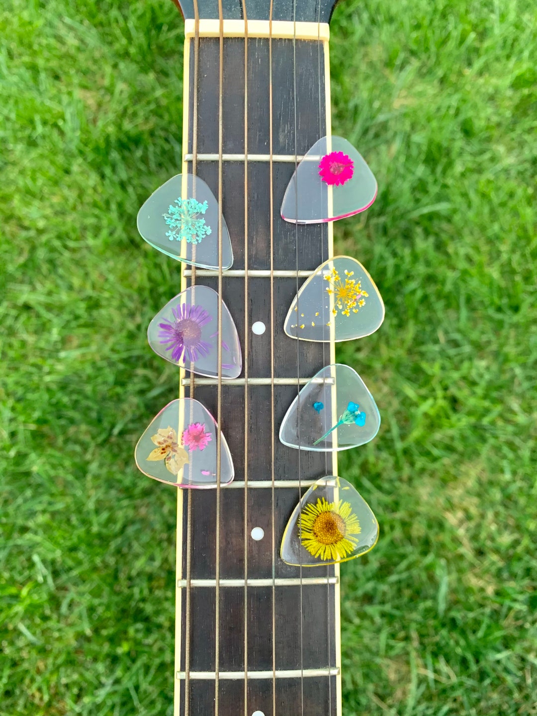 Dried Flower Guitar Pick, Flower Guitar Picks, Pack of Dried Flower ...