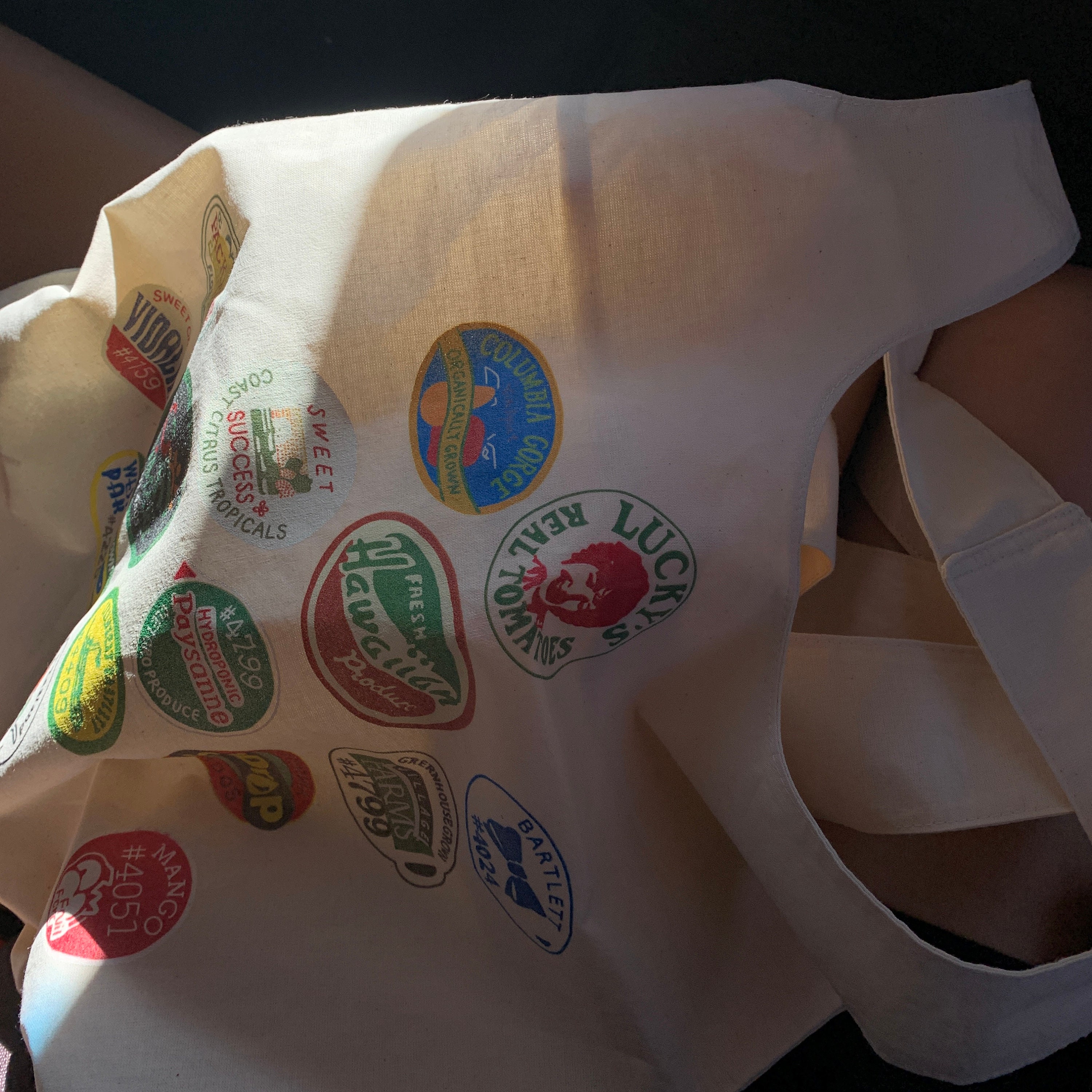 Fruit sticker tote bag two strap canvas tote bag graphic | Etsy