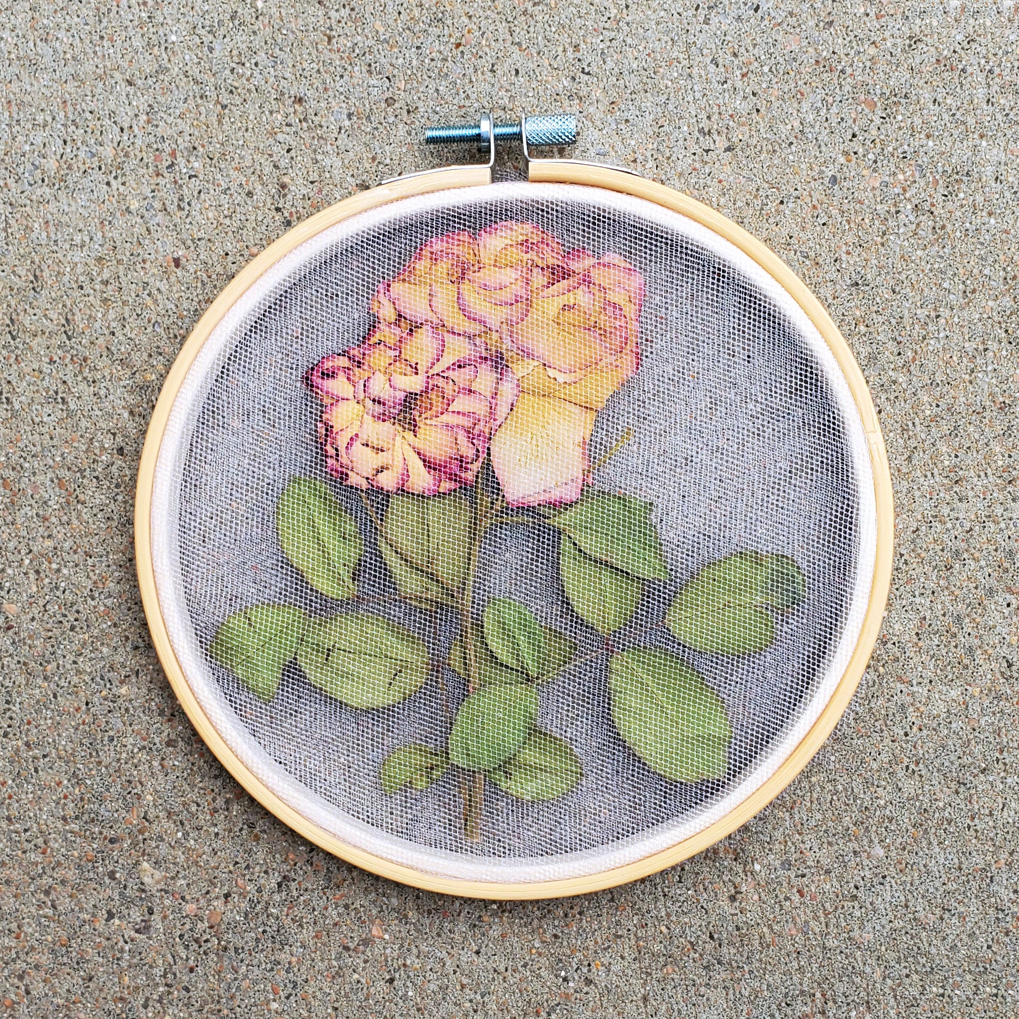 REAL Pressed Garden Rose Flower Embroidery Hoop - Etsy