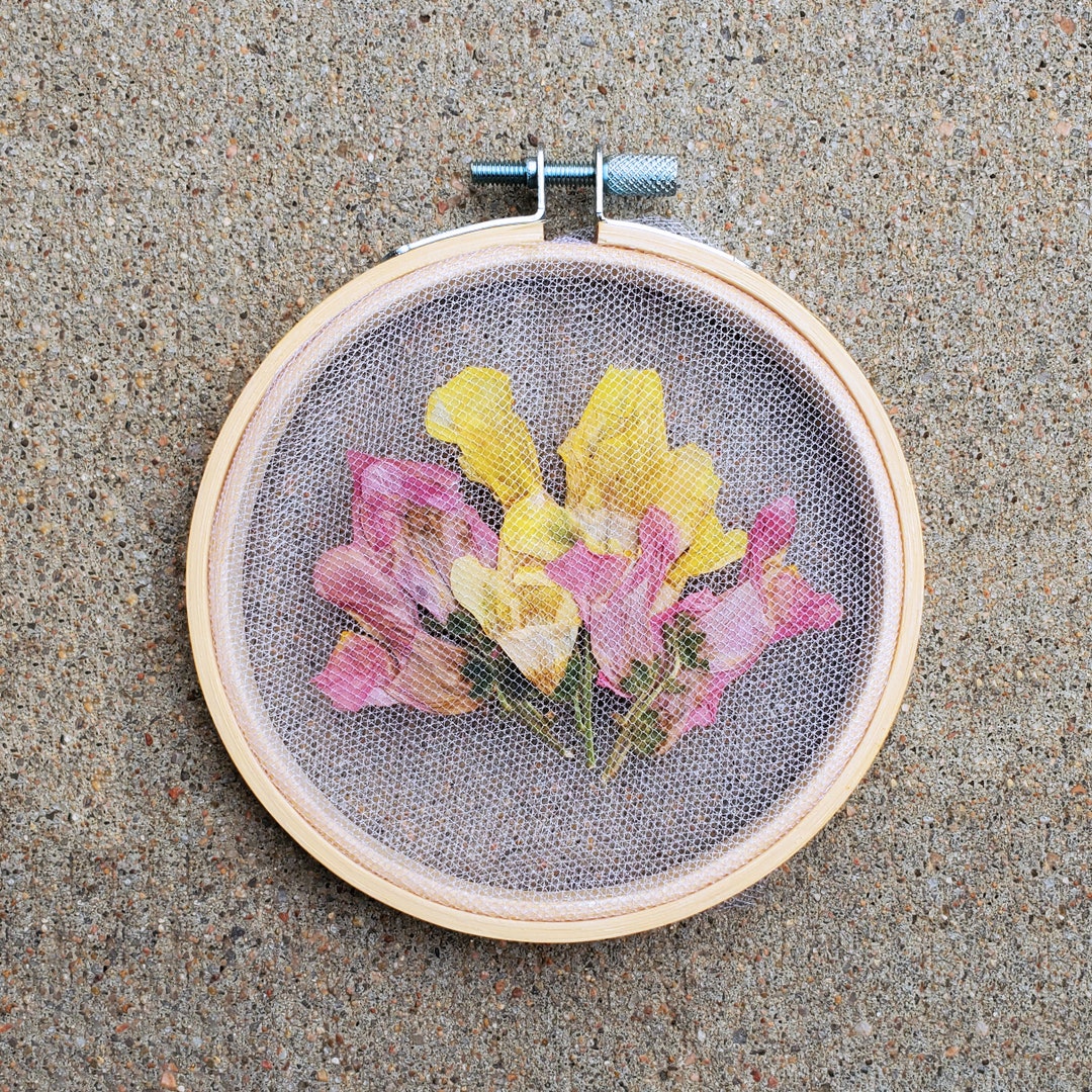 REAL Pressed Snapdragon Flower Embroidery Hoop - Etsy