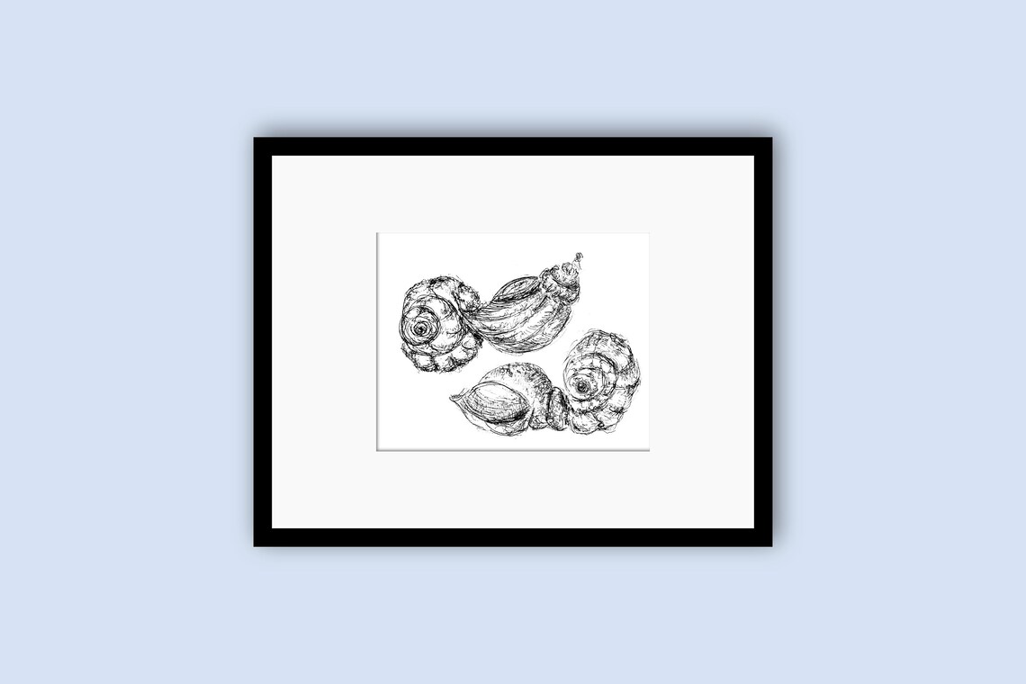 Seashell Pen Drawing Print Coastal Art Work Botanical - Etsy