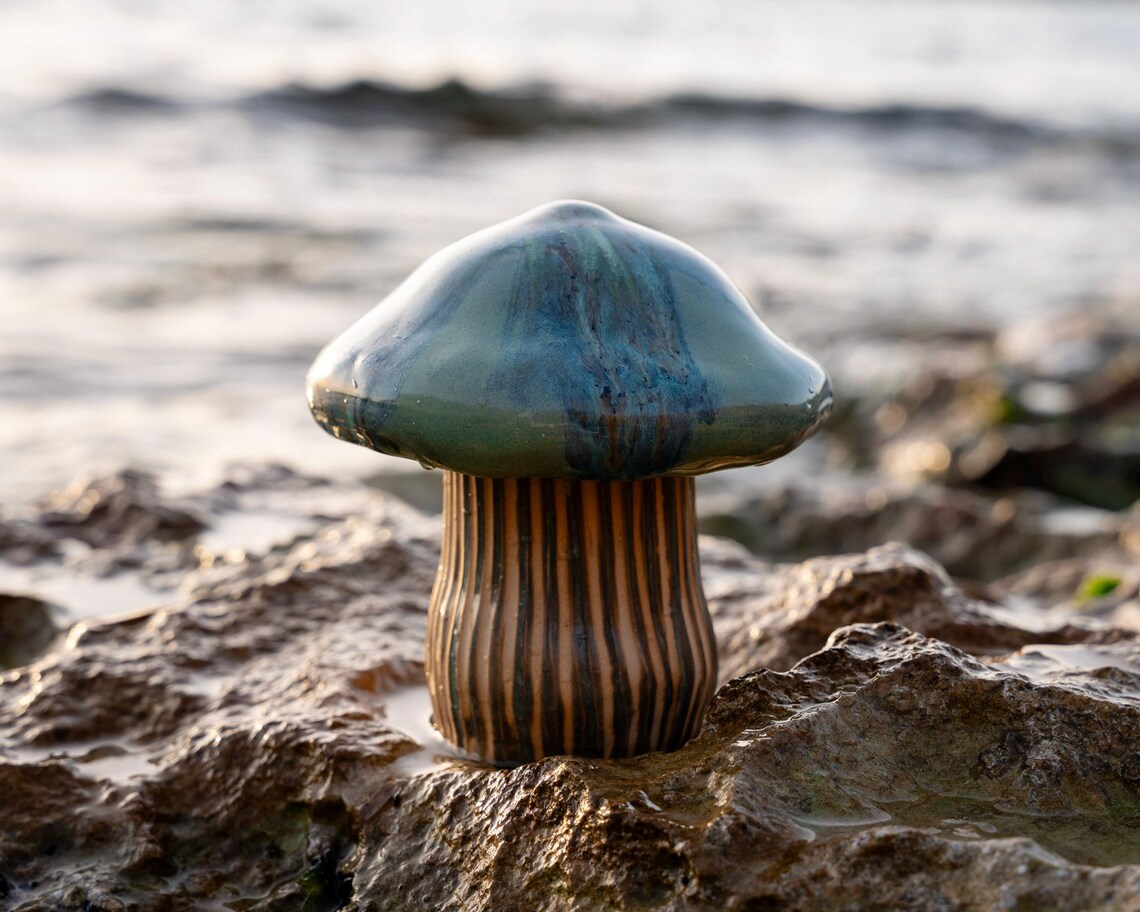 Mushroom Stash Jar - Etsy
