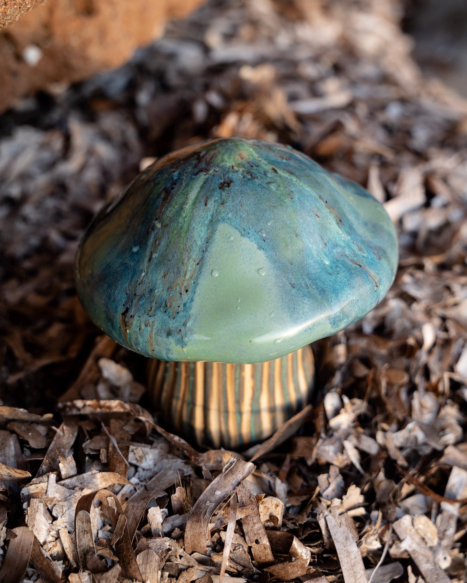 Mushroom Stash Jar - Etsy