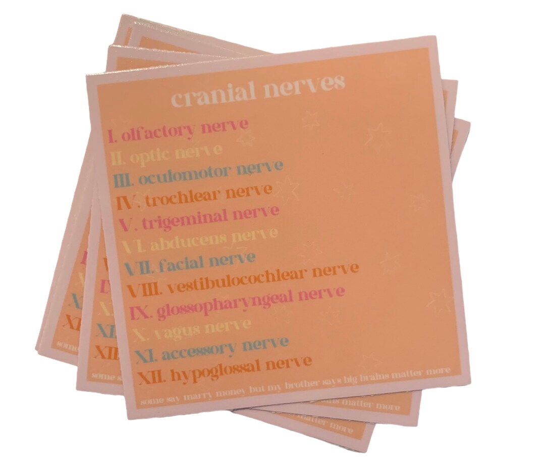 SLP Sticker - Cranial Nerves - Etsy