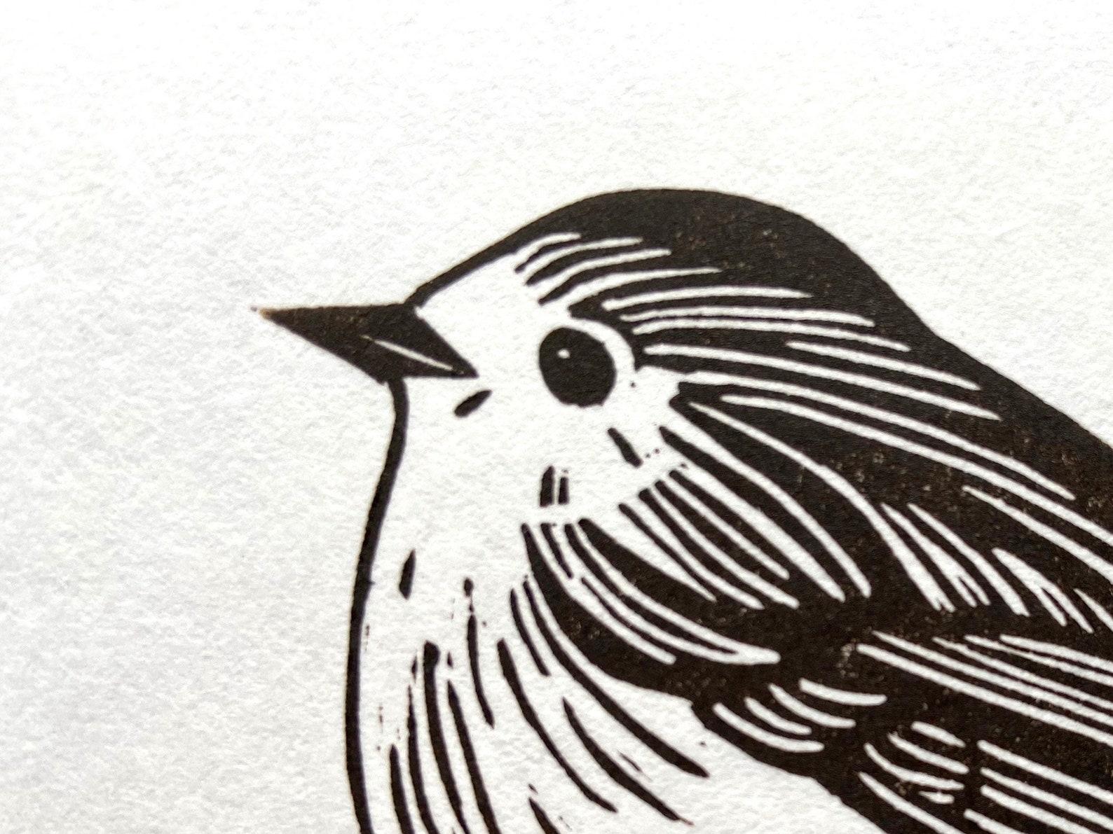 Robin Linocut Art Print Original Linocut Nature Print - Etsy