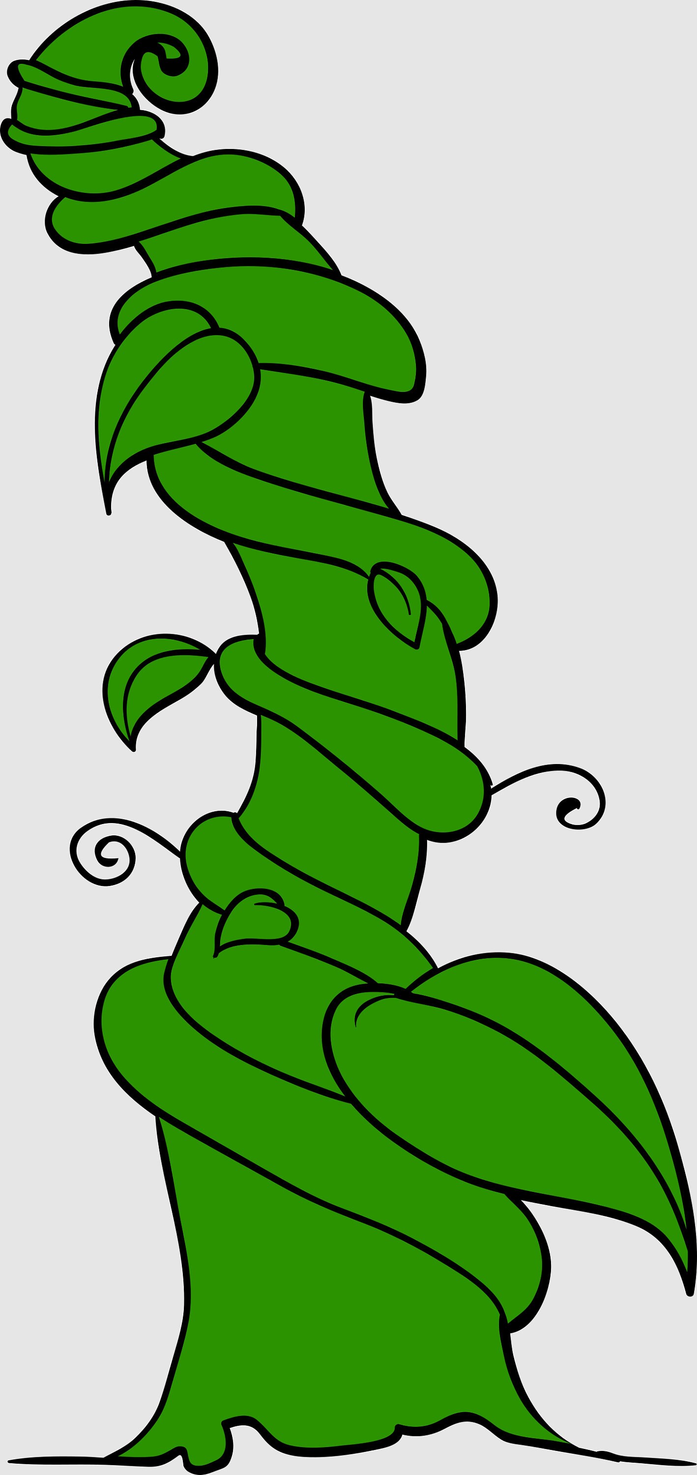 Beanstalk Vector SET - Cricut Compatible - Etsy