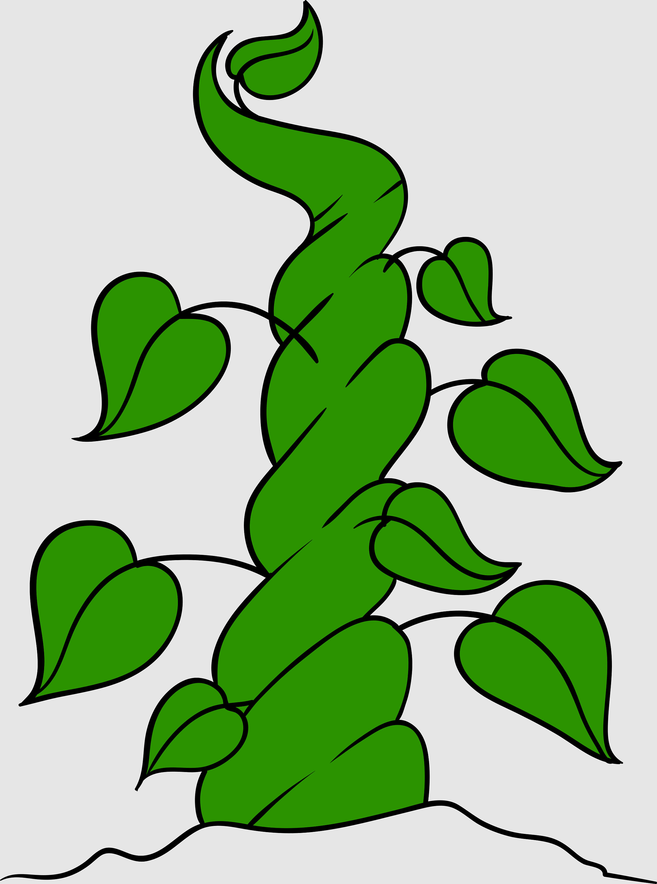 Beanstalk Vector SET - Cricut Compatible - Etsy