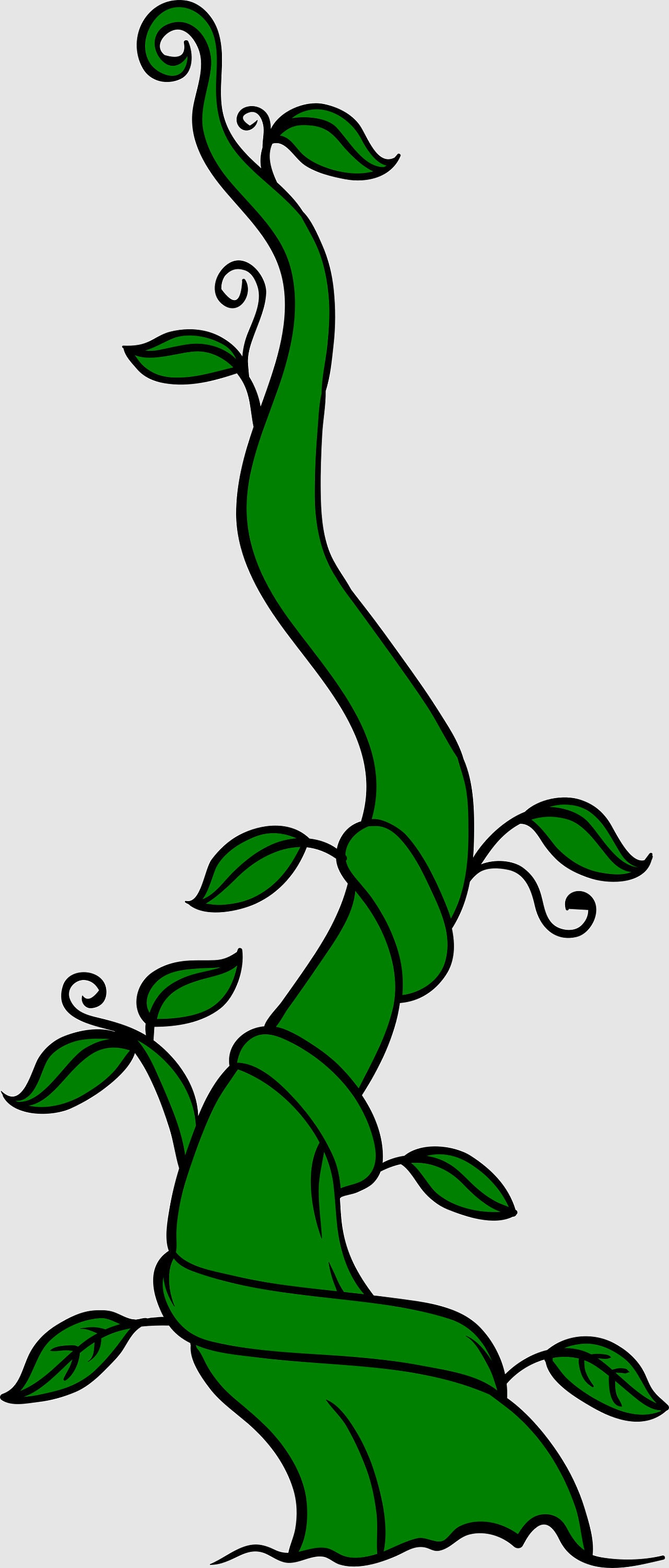 Beanstalk Vector SET - Cricut Compatible - Etsy