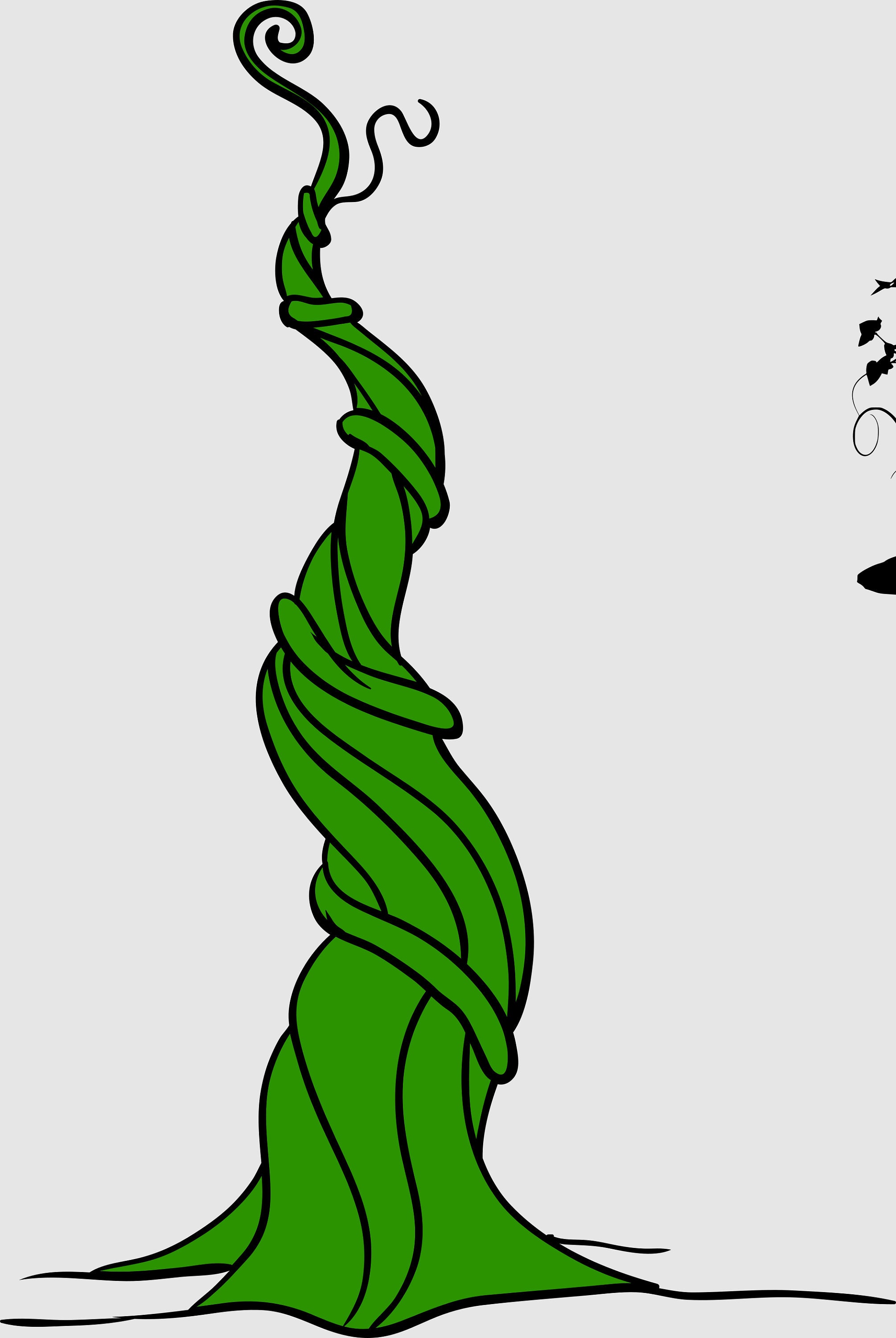 Beanstalk Vector SET - Cricut Compatible - Etsy