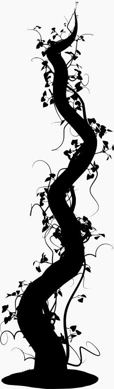 Beanstalk Vector SET - Cricut Compatible - Etsy