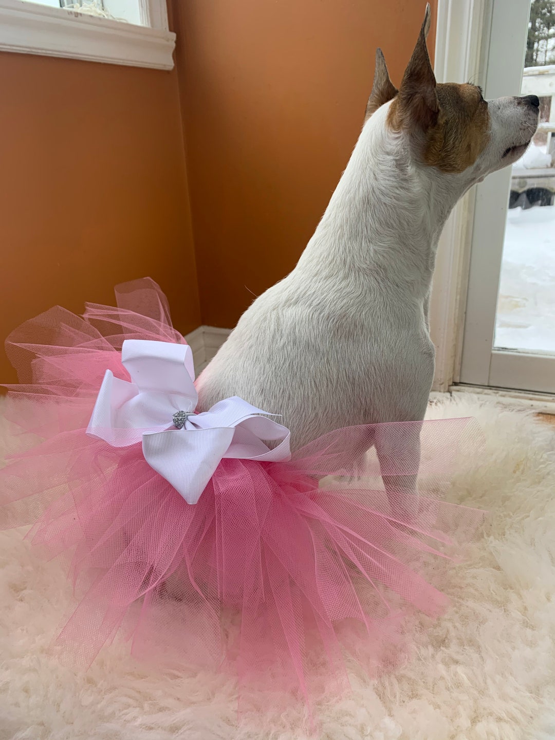 Tutus for Dogs/cats/pigs - Etsy