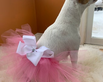 Tutu for Dogs - Etsy