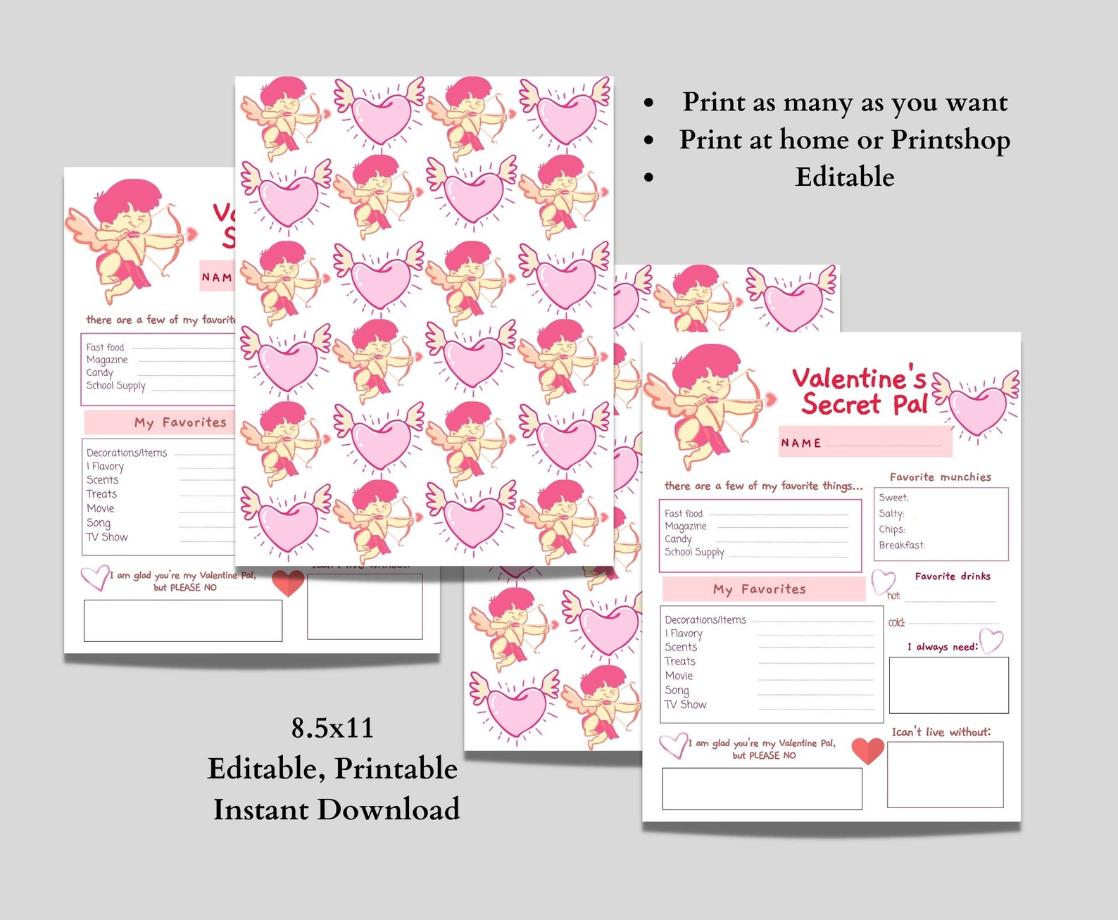 Valentine's Day Secret Pal Questionnaire, Printable Gift Exchange Wish ...