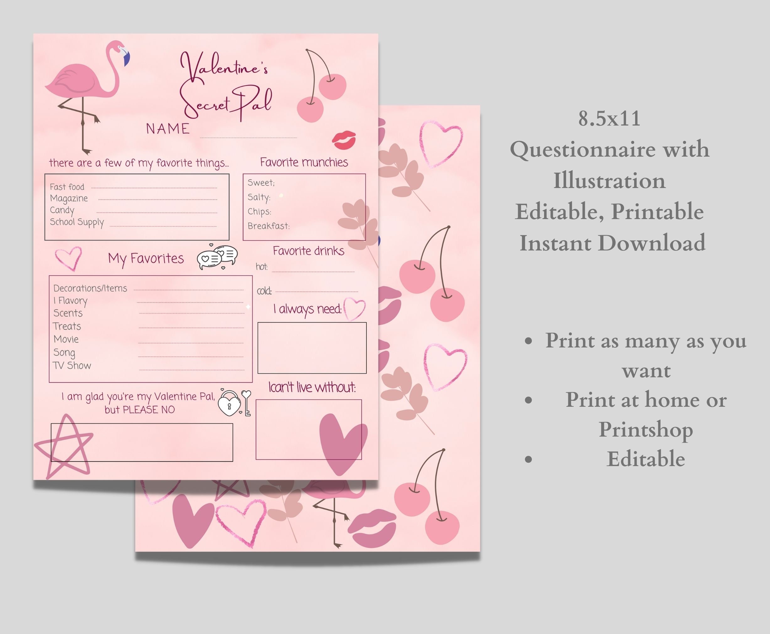 Valentine's Day Secret Pal Questionnaire, Printable Gift Exchange Wish ...
