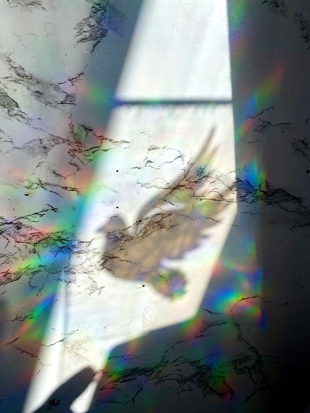 DOVE Pack Suncatcher Sticker Cling Beach Bird Window Unique Gift Art ...