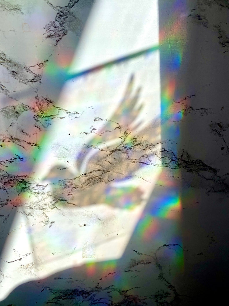 DOVE Pack Suncatcher Sticker Cling Beach Bird Window Unique Gift Art ...