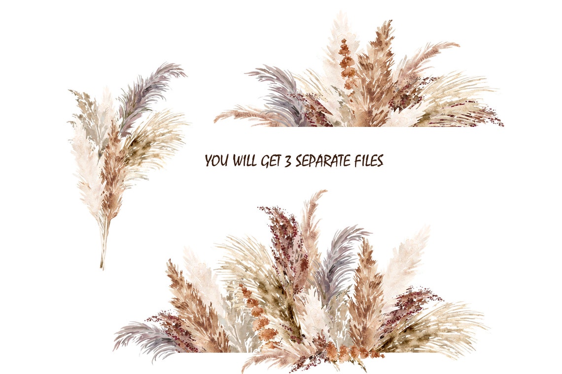 Pampas Grass Border Clipart Watercolor Boho Neutral Colors | Etsy
