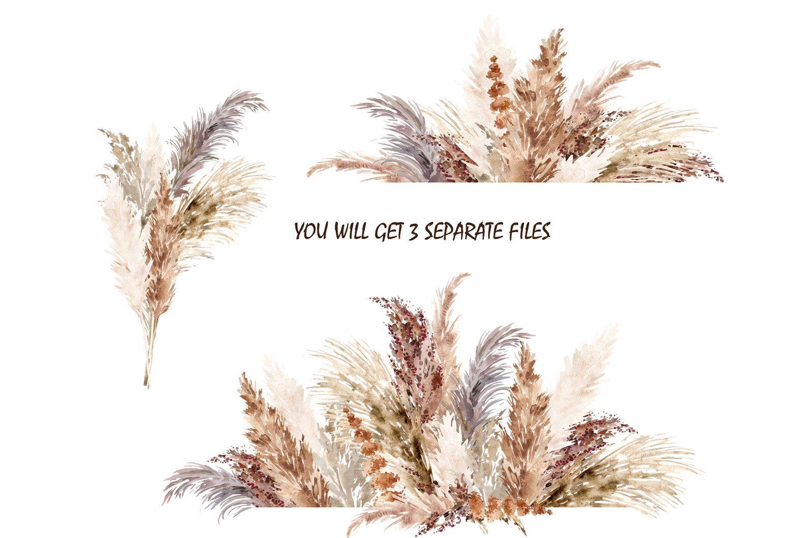 Pampas Grass Border Clipart Watercolor Boho Neutral Colors Etsy