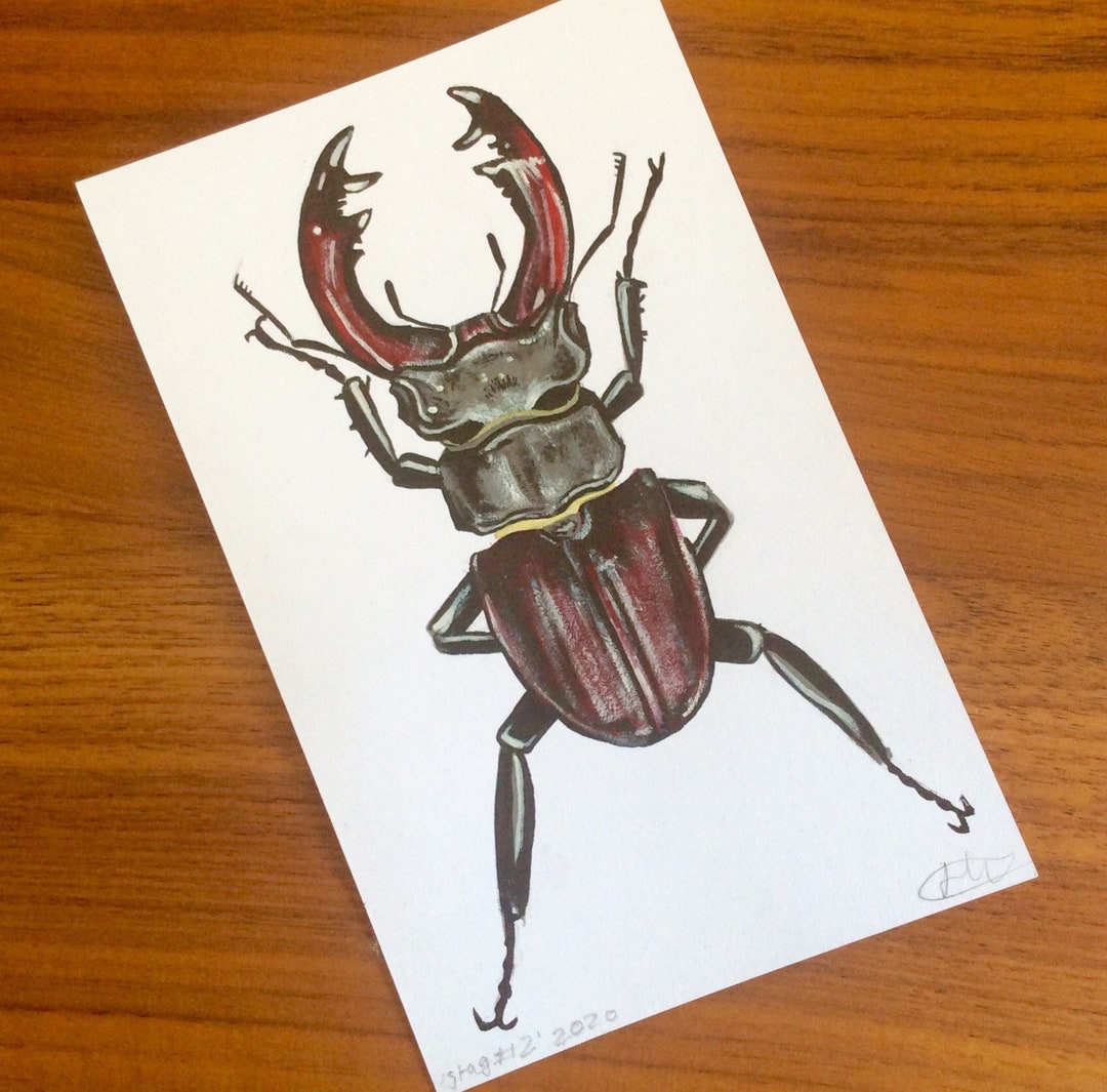 Original Stag Beetle Painting Insect Gouache Art Entomology - Etsy