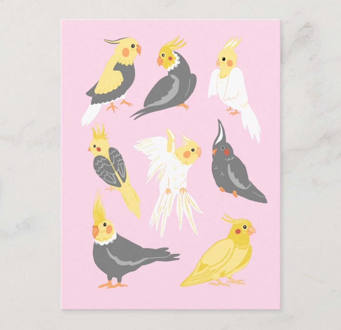 Cockatiel Wallpaper