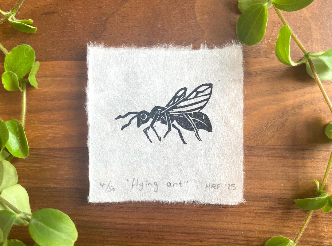 Flying Ant Mini Linocut - Insect Lino Print, Original Animal Art ...