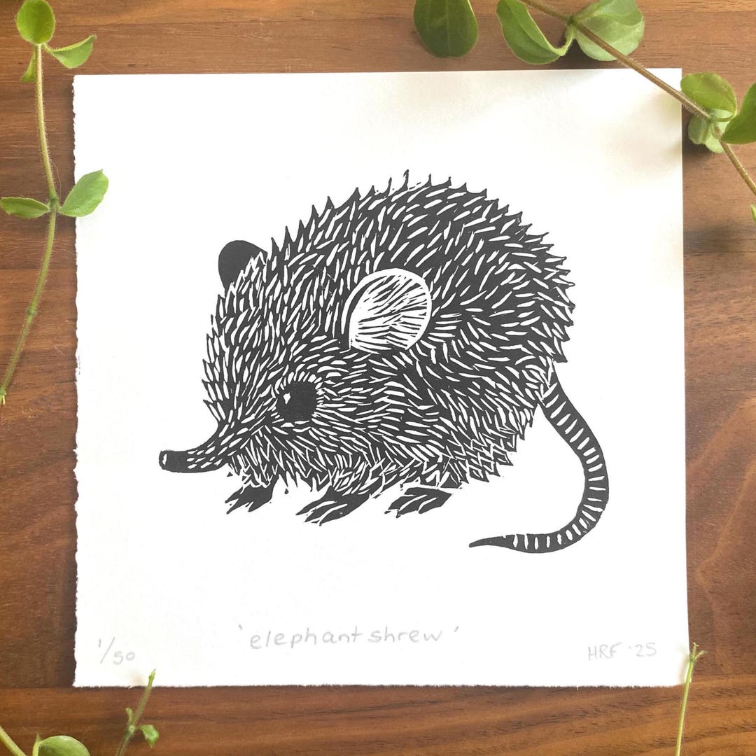 Elephant Shrew Lino Print - Original Linocut Animal Art, Cute Sengi ...